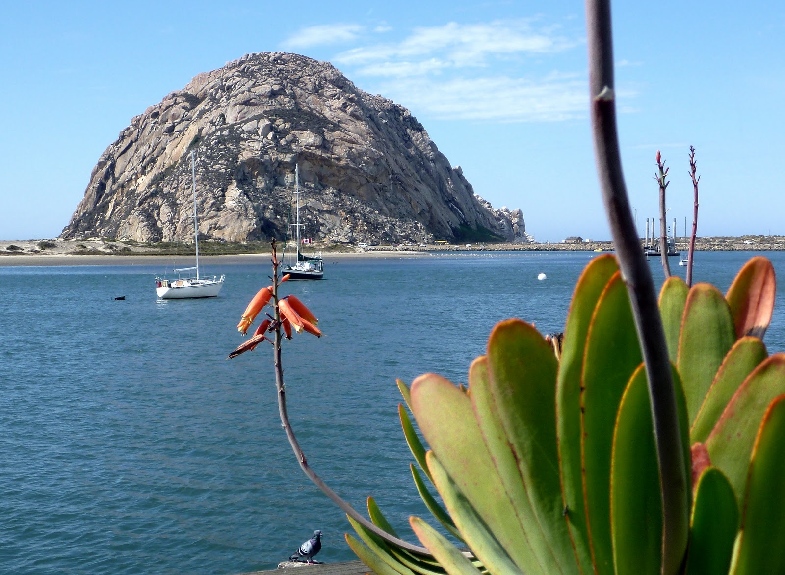 The Adventures of Ka'sala: Morro Bay to Cojo Anchorage