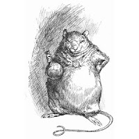 Clara Gillow Clark: BOOK B'DAY *** Debut Author Hilary Wagner ...