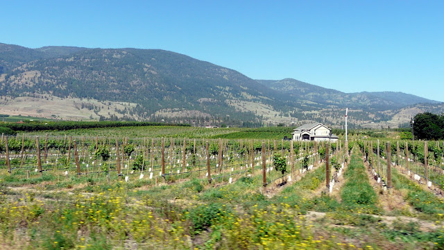 searching for Art in life: on to Oliver, BC