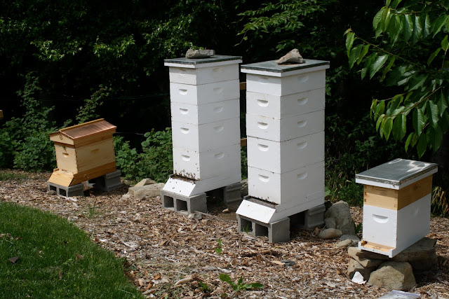 Love Cook Create Knit: Honey Lemonade and the Apiary