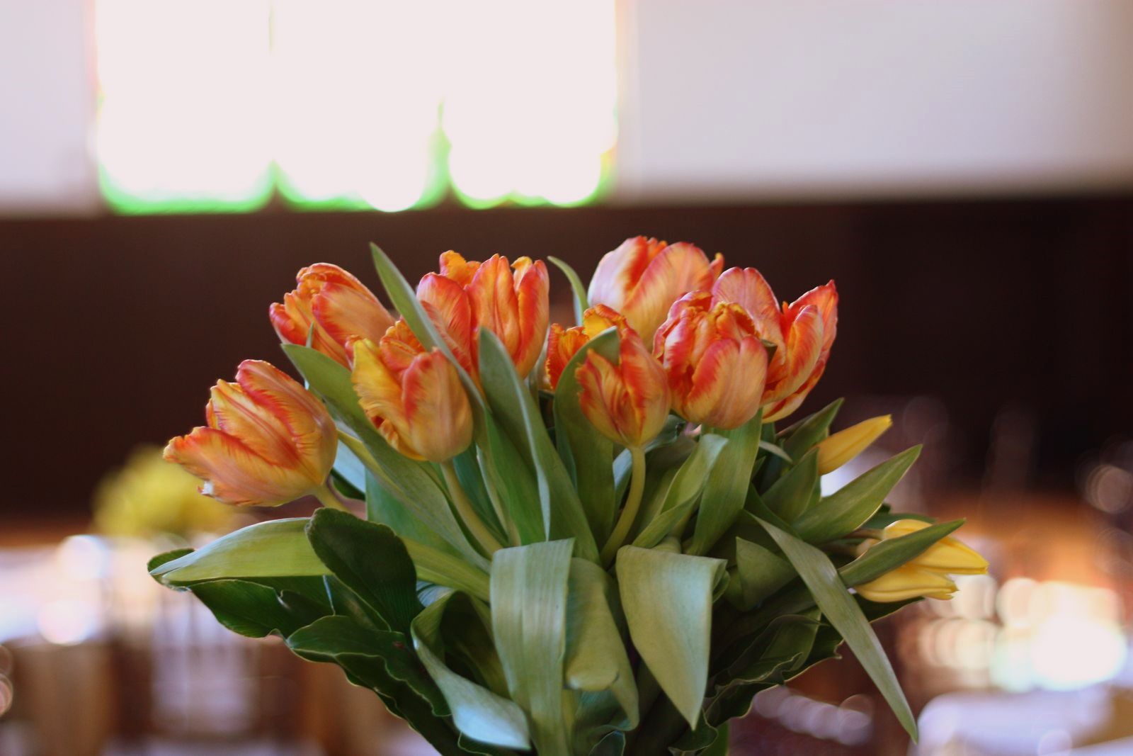 Designs By Darin Unique Floral Creations: Our Latest Event at FSU Dodd Hall