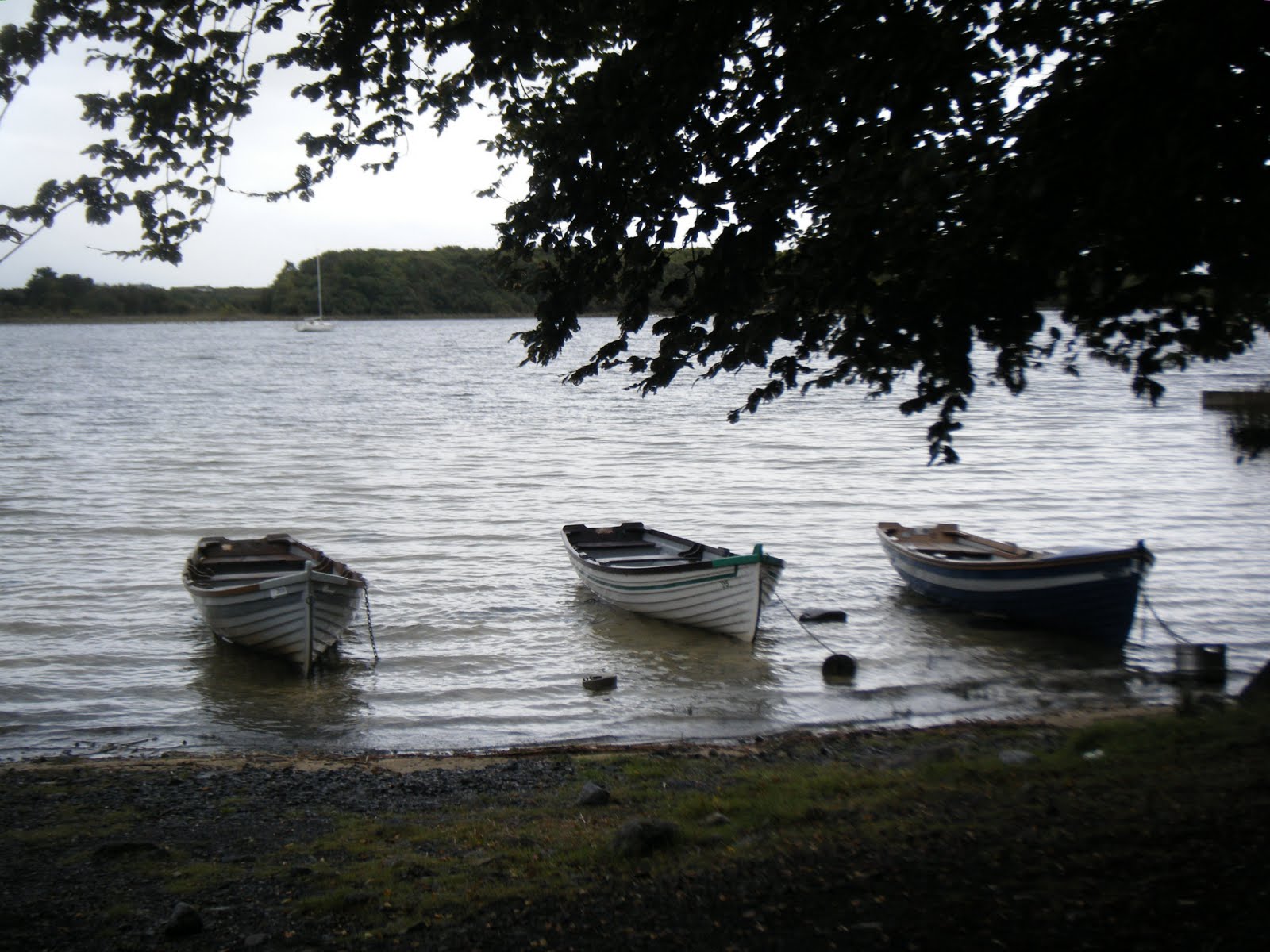 Mise Áine: Íomhánna An Lae