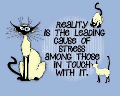 How to tell if your pet is stressed