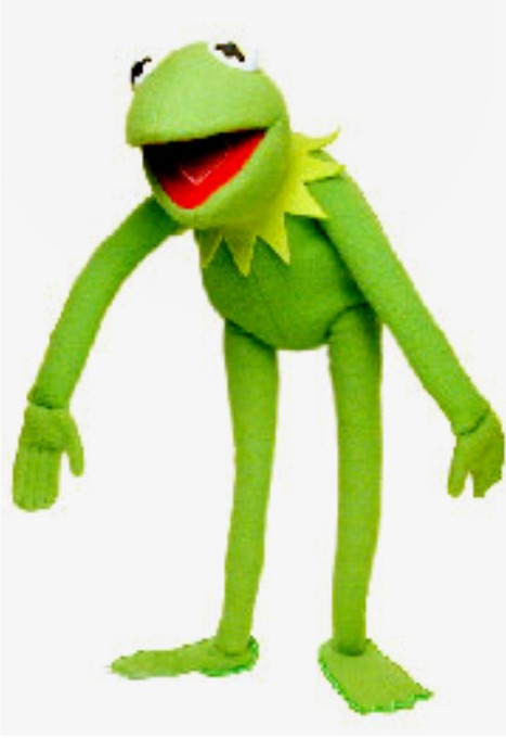 Caricaturas rana rene - Imagui