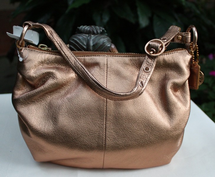 * Suzy*s Bargain Boutique * - Certified Fashionista: COACH HOBO ALI ...