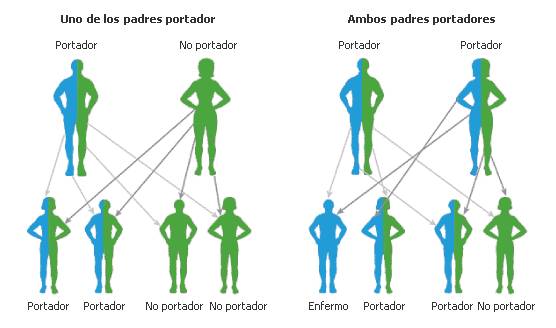 Biologia: Caracteres geneticos