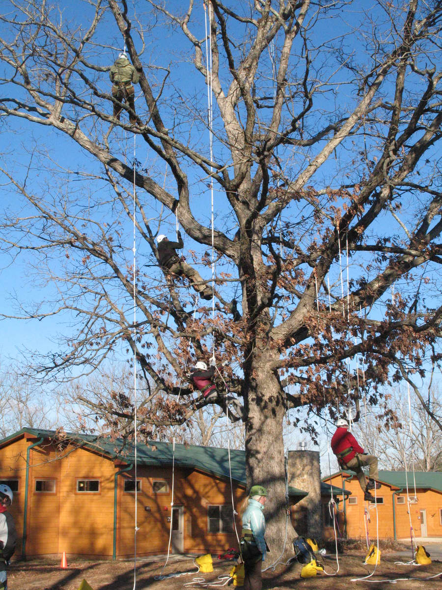 Adventure Farm: YMCA Demo Tree Climb