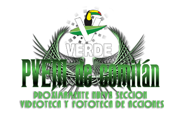 PVEM DE COMITAN - CRECIENDO CON COMITAN: PVEM promueve el cuidado del ...