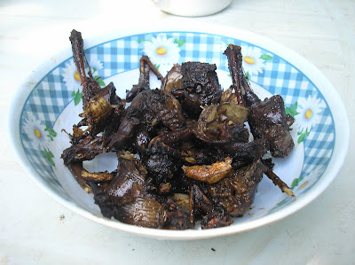 PIDJANGA of Mainit, Surigao Norte: Night Bird