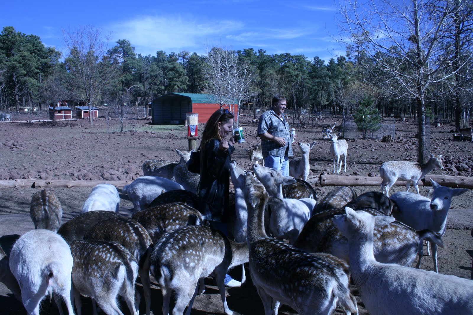 Sunni-Day: November 2009