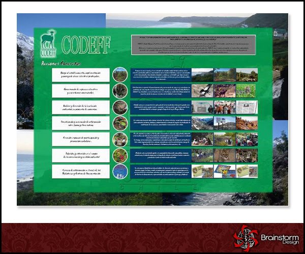 Infografía para CODEFF Chile | BrainStorm... Gente de diseño