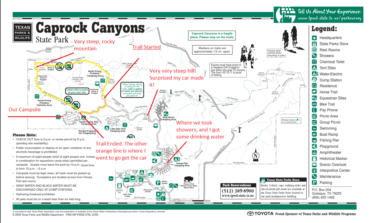 A Wild Goose Travels