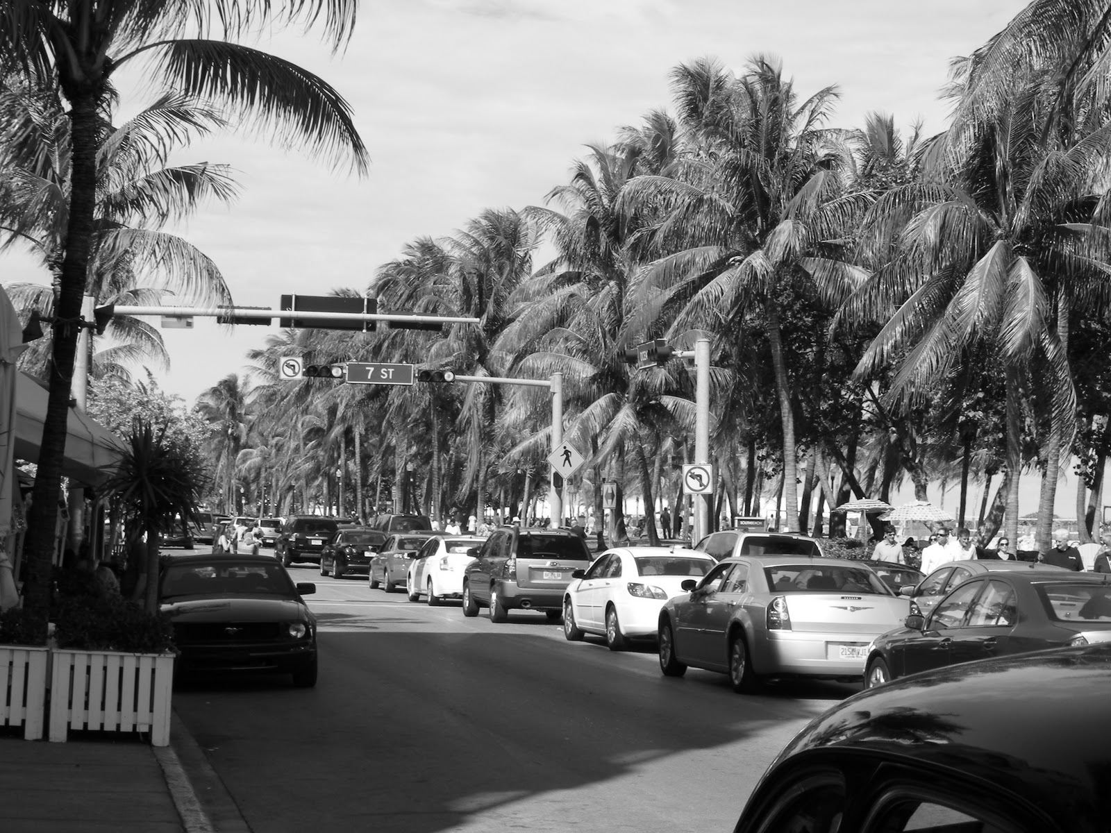 LAVISH LIFE INC.: LAVISH LIFE IN MIAMI