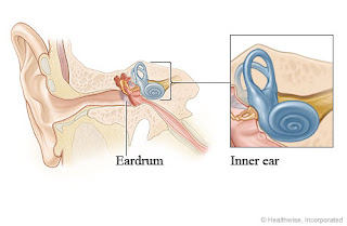 Sport ,Healty And Care: Tips for Keeping Your Ear Health
