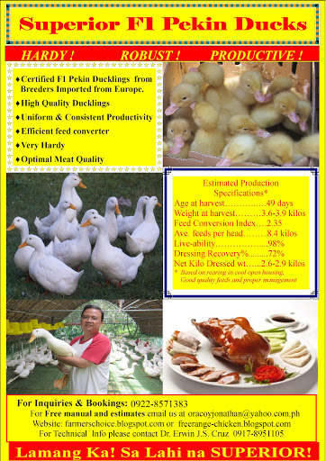 Jonabe Freerange Chicken: Now available: Meat & Layer type chickens and ...