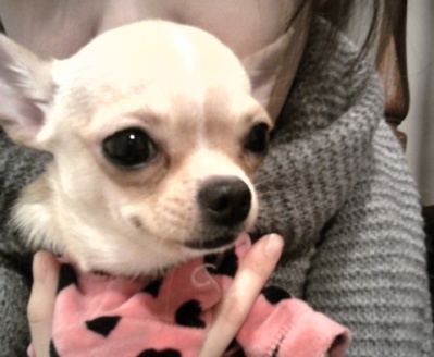 My Blog in BBFI: Goo Hye Sun Revamped Own Minihompy