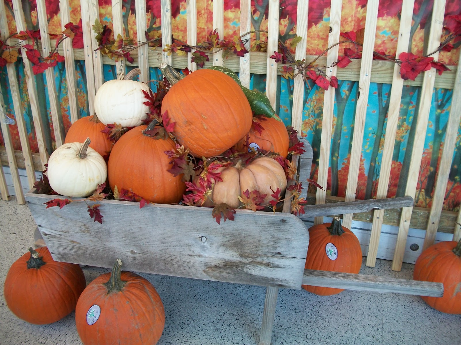 Cats, Kids and Crafts: Signs of Fall