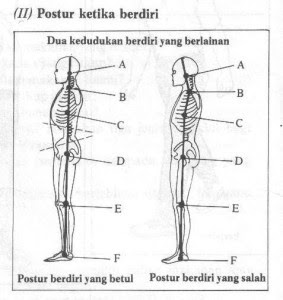 IKON METRO: POSTUR BADAN ANDA