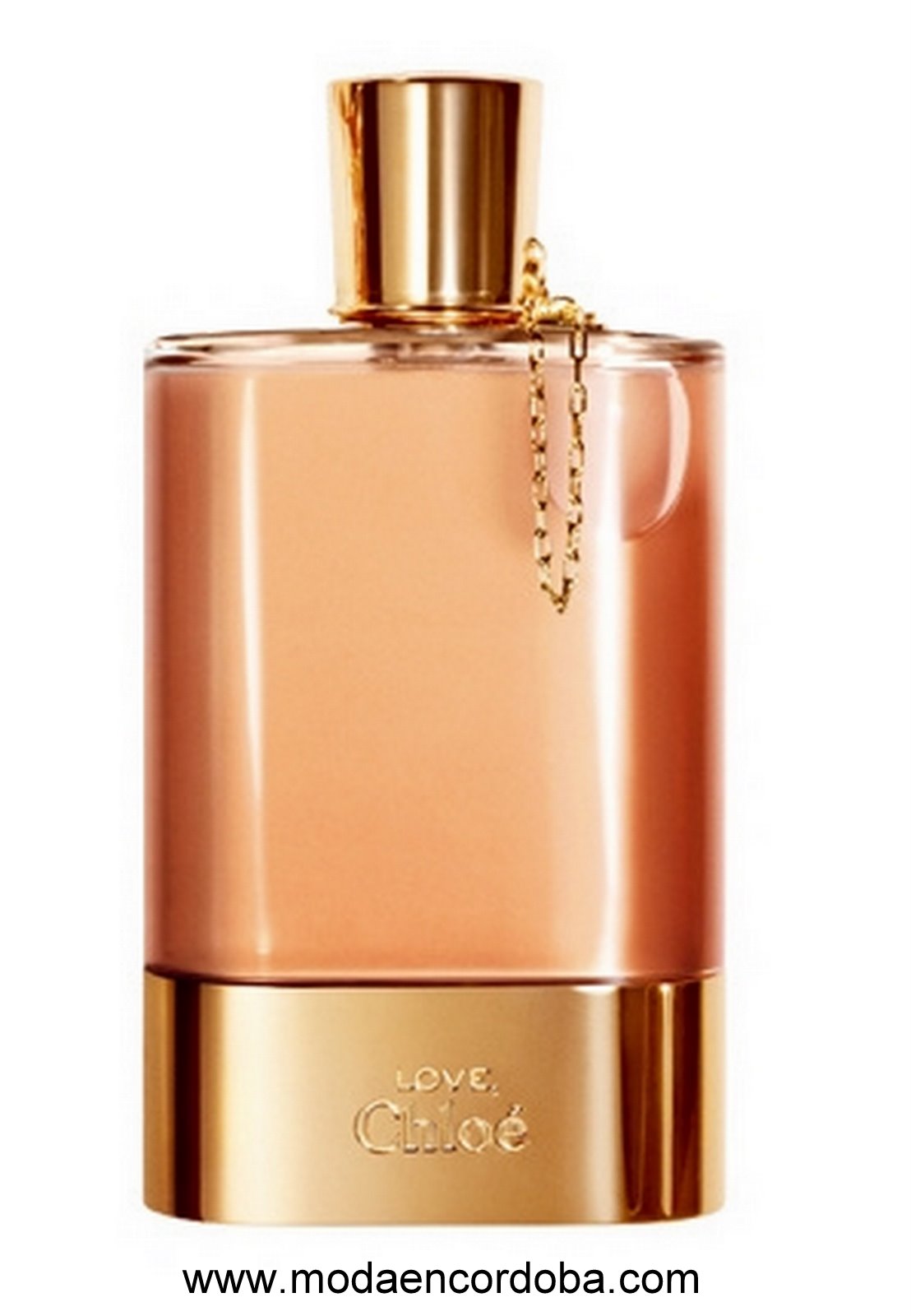 Moda y Tendencia en Argentina y el Mundo.: Moda y Tendencia 2011 en ...