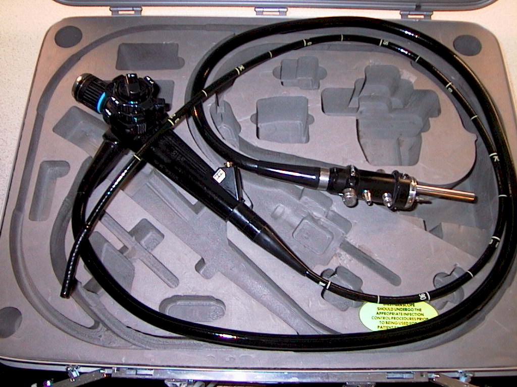 Nikki Hui's BioBlog: The importance of Various Technologies