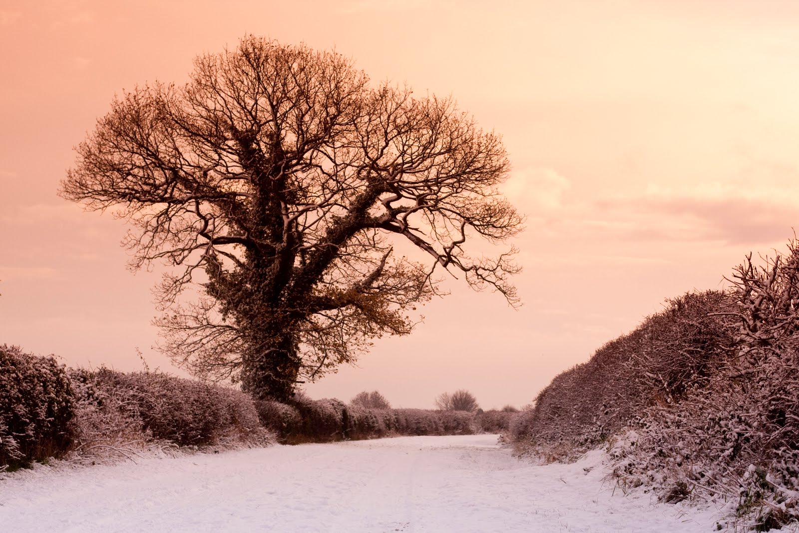 Beyond MA Digital Imaging & Photography