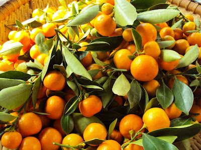 SKIP TO MALOU: CALAMANSI (Filipino Lime) GIVEAWAY