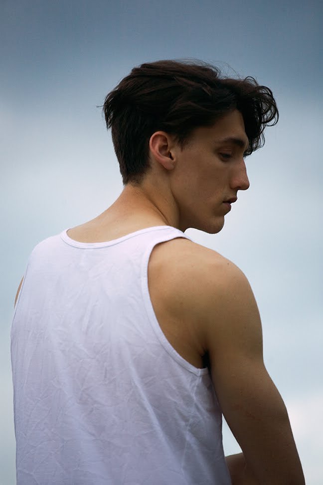 The Model Radar: Introducing Vincent