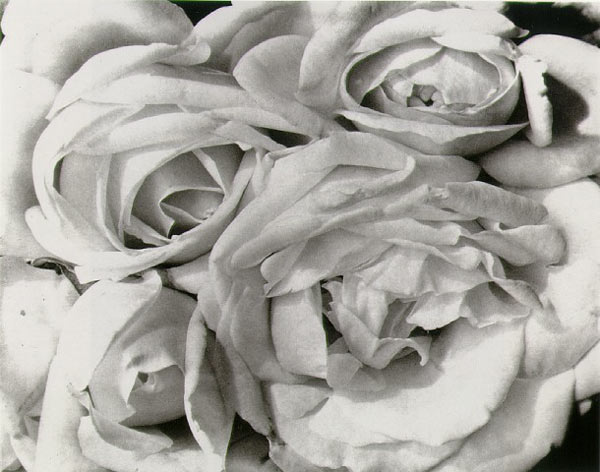 BEST AMERICAN ART: Tina Modotti (1896-1942) and Edward Weston's Nudes