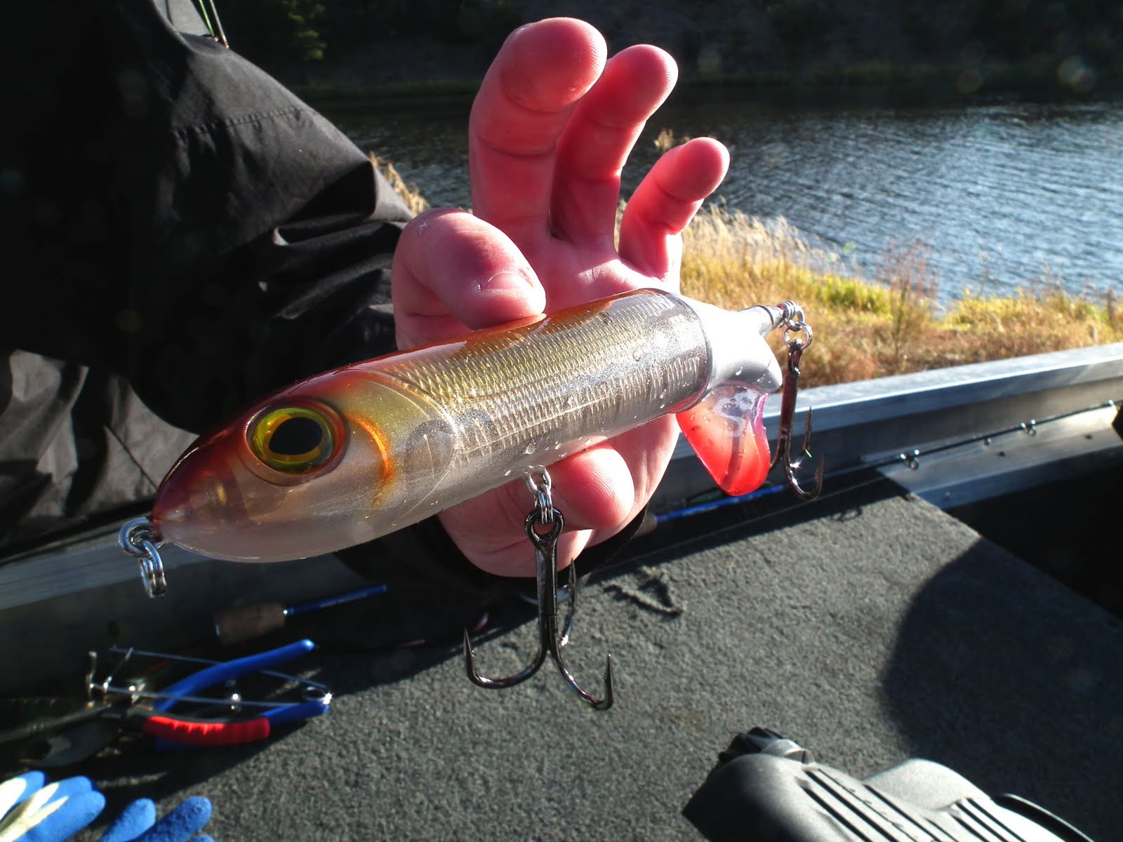 OUTDOORS NM: Trophy Tiger Muskies in Quemado, Bluewater Lakes make for ...