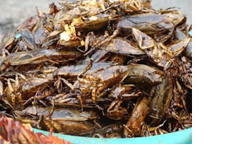 destinationheaven: Yummy snack from Cambodia..