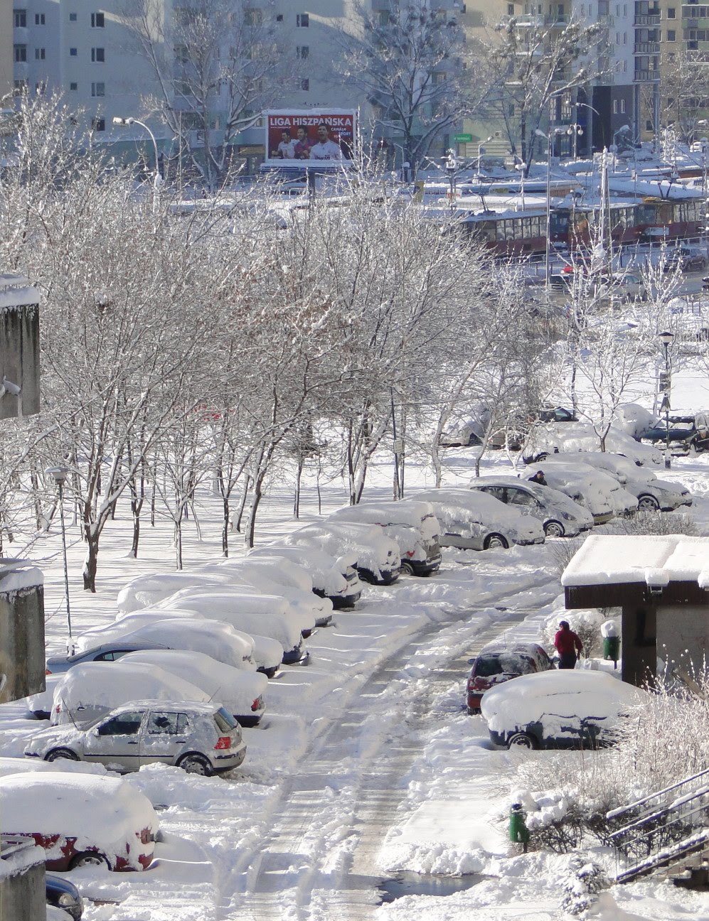 Warsaw Photography: Last snow