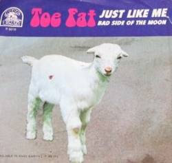 LUIZ WOODSTOCK: TOE FAT - Uma das bandas que deram origem ao URIAH HEEP.
