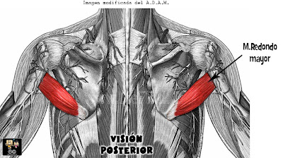 DieFTi - Tu guía de entrenamiento.: julio 2009