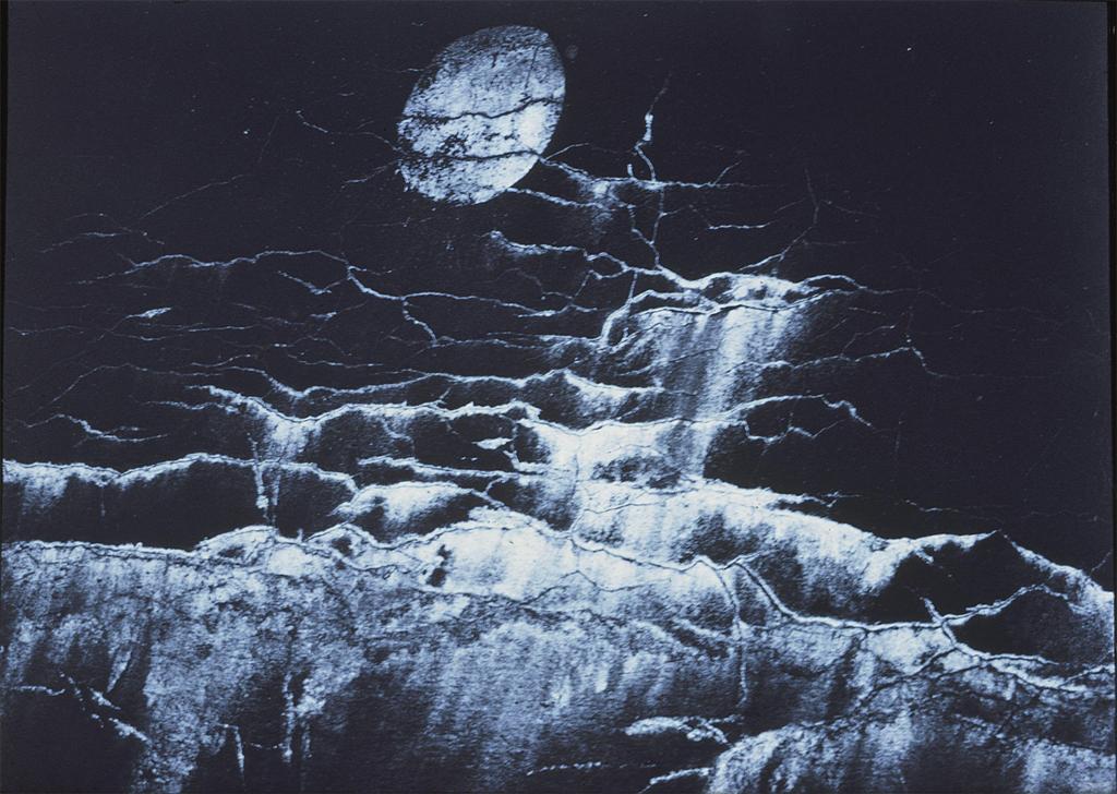 Nature Into Art With Minor White