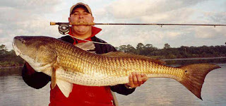 Big Redfish: Big Redfish and How To Catch Them!