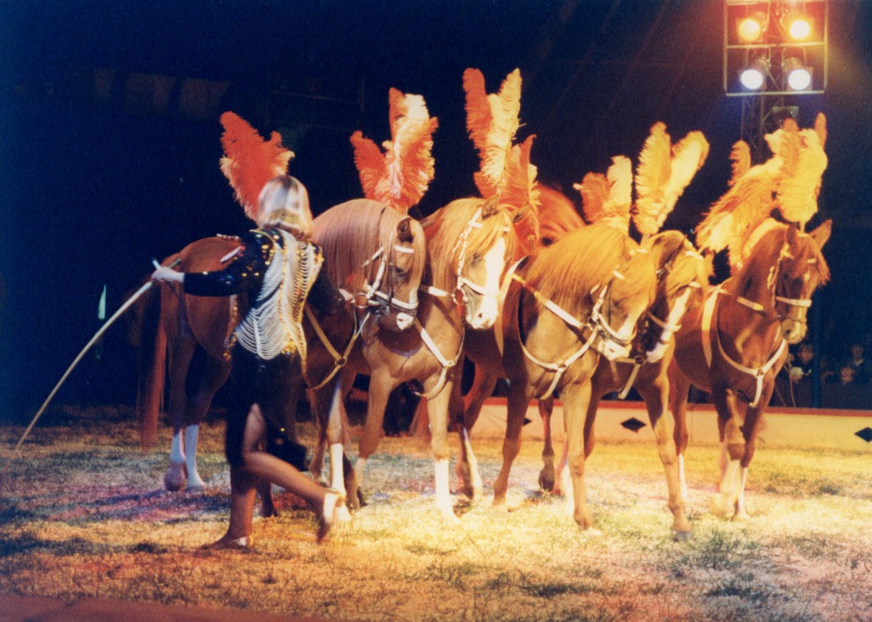 A friend of the Circus: Tony Hopkins Arabian Stallions