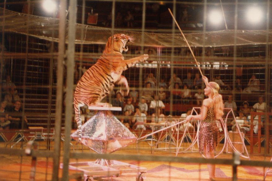 A friend of the Circus: Mary Chipperfield, Peter Jays' Hippodrome ...