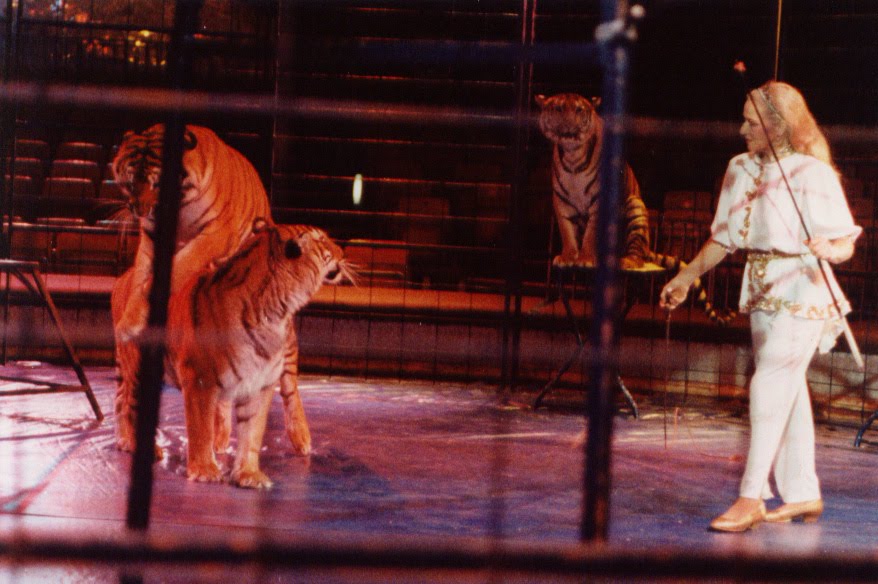 A friend of the Circus: Mary Chipperfields Tigers, Superdome Circus ...