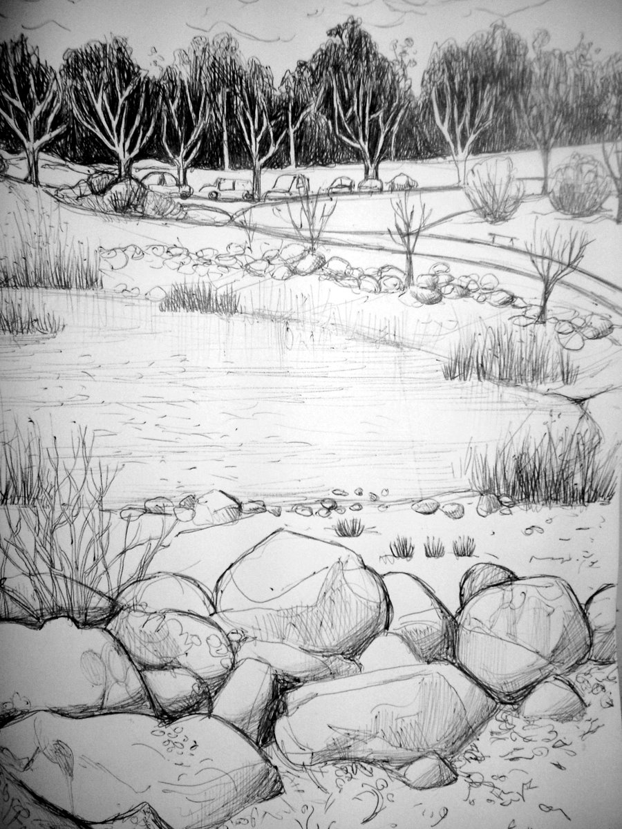 Geelong Visual Diary: Drawing of rocks, reeds, water