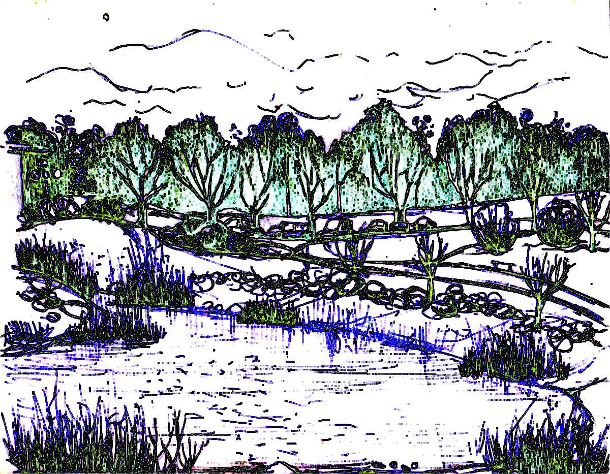 Geelong Visual Diary: Drawing of rocks, reeds, water