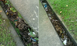Singapore HDB Towns: PUB - So many clogged drains. No wonder there's ...