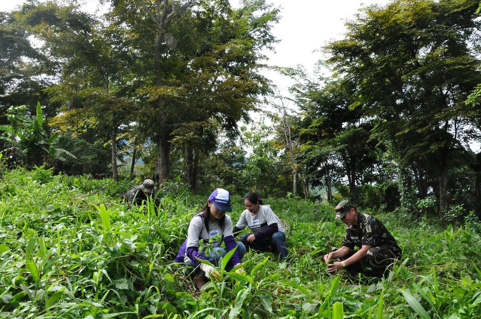9th Infantry (Spear) Division: 800 Trees Planted by Army Soldiers in ...