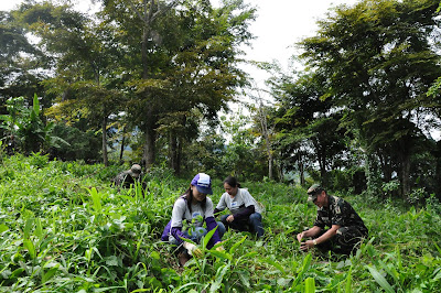 9th Infantry (Spear) Division: 800 Trees Planted by Army Soldiers in ...