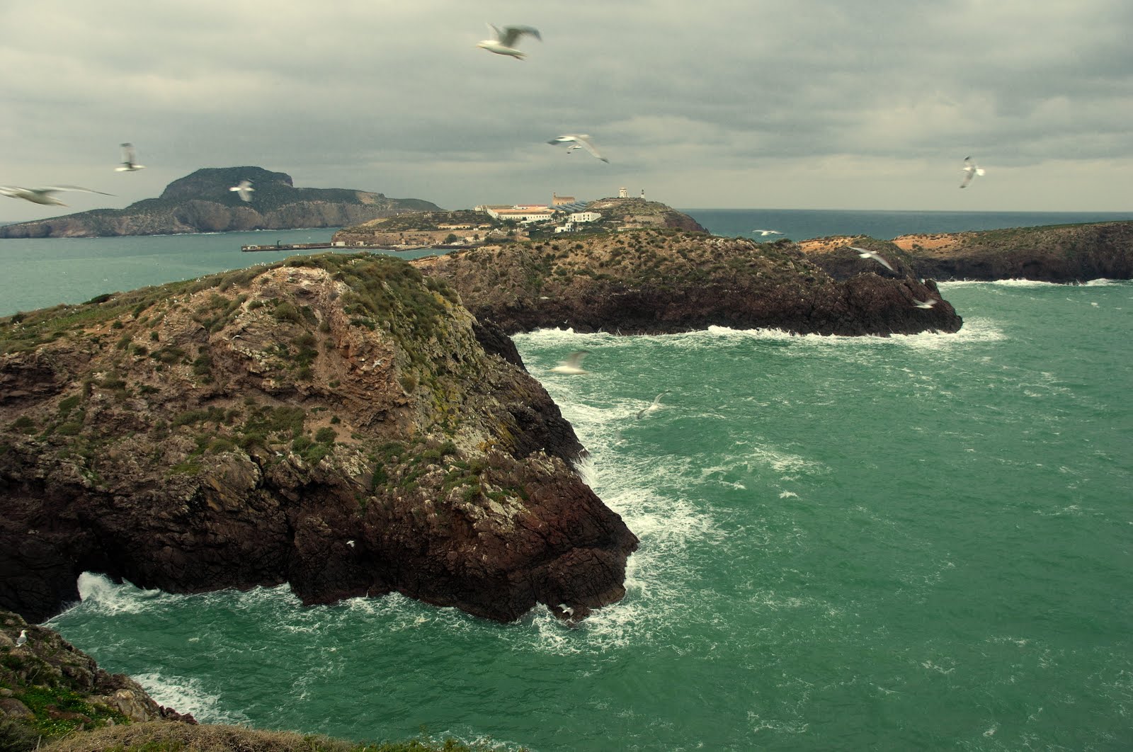 JuandelaC: Islas Chafarinas. Vista parcial desde la cima de la Isla del Rey