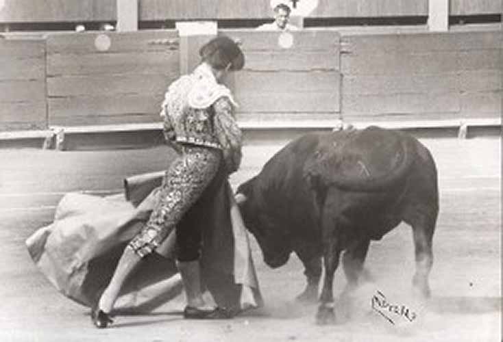 Hasta el rabo todo es toro: Se dan clases de toreo puro