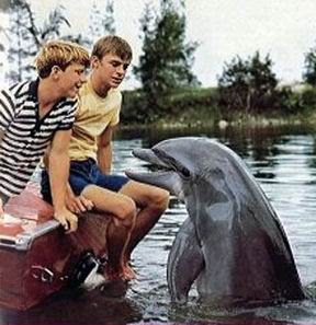 Flipper (1964)