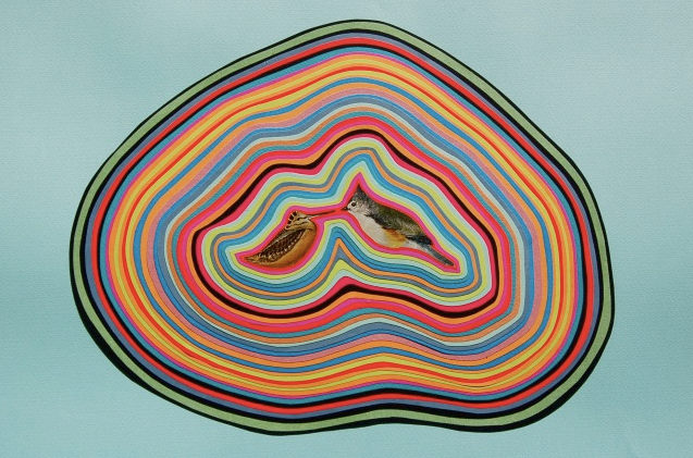 >Virginia Echevarria Whipple - FTCMag