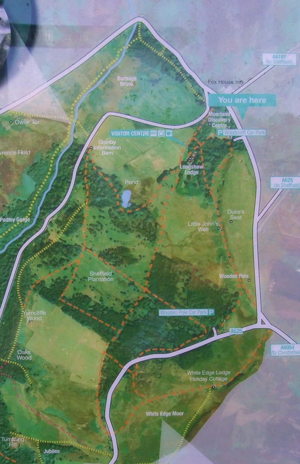 Behind the Bat: Longshaw Estate & White Edge Moor