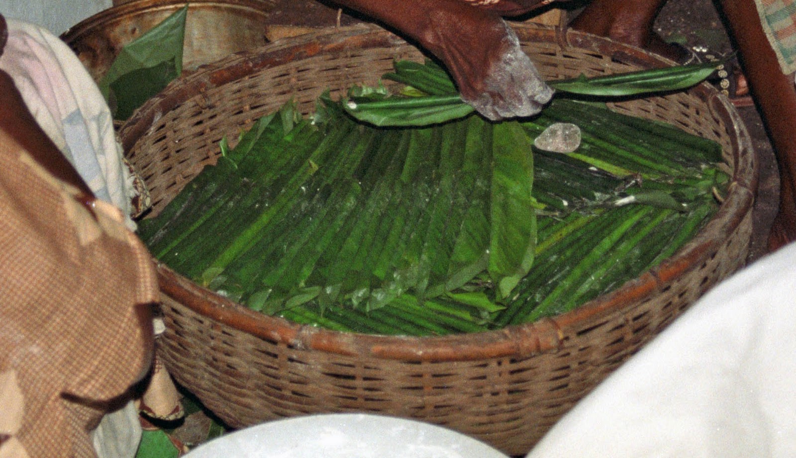 Cassava, a multi-function edible root; making Gari