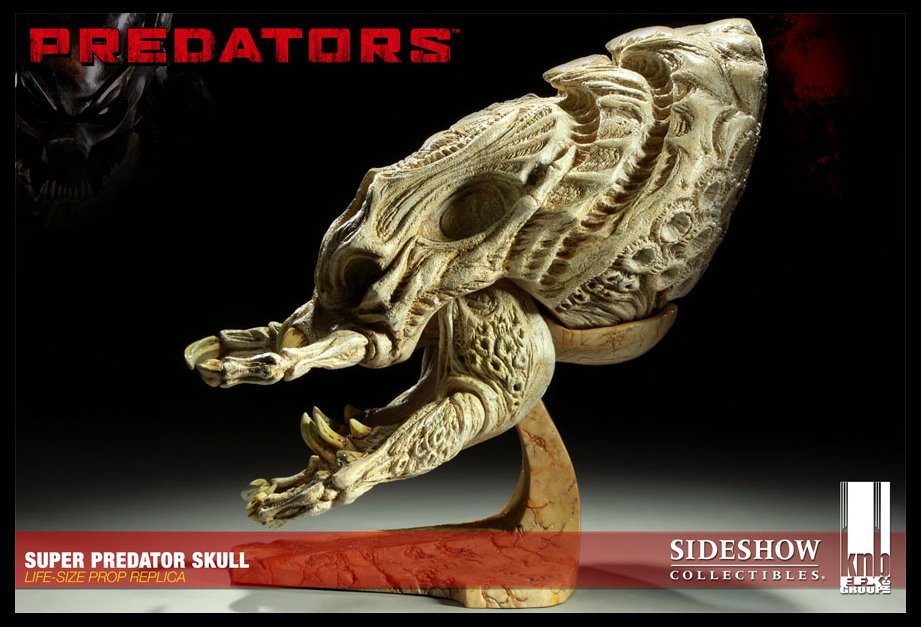 JIMSMASH ! ! !: PREDATOR SKULLS